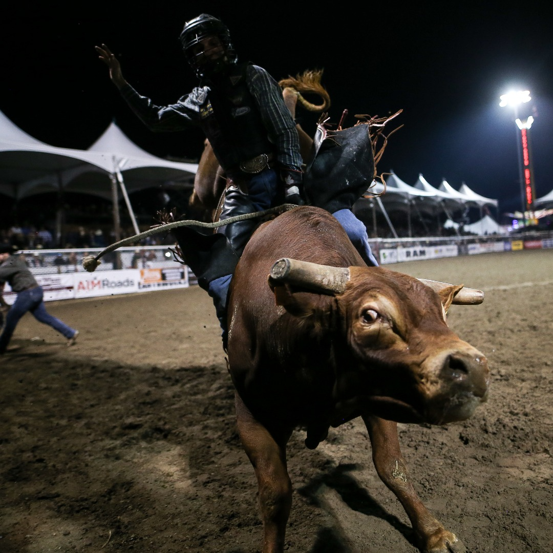 Rodeo - IPE - Armstrong Fairgrounds - Armstrong - Aug 28, 2024 · Showpass