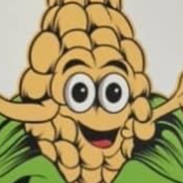 Labyrinth de mais - Corn maze 2024 - 121 Chemin Brook - Hinchinbrooke ...