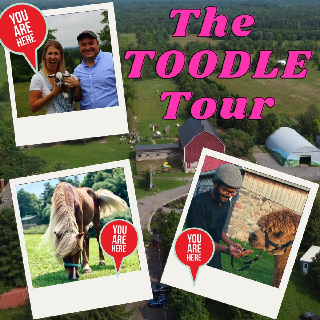 Toodle Tour at the Haute Goat Farm - Haute Goat Farm - Newtonville ...