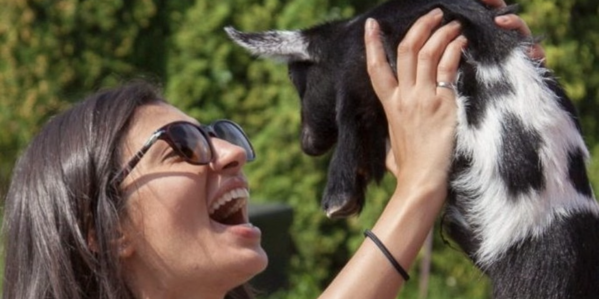 The Haute Goat Shmurgle - Haute Goat Farm - Newtonville - Oct 2, 2024 ...