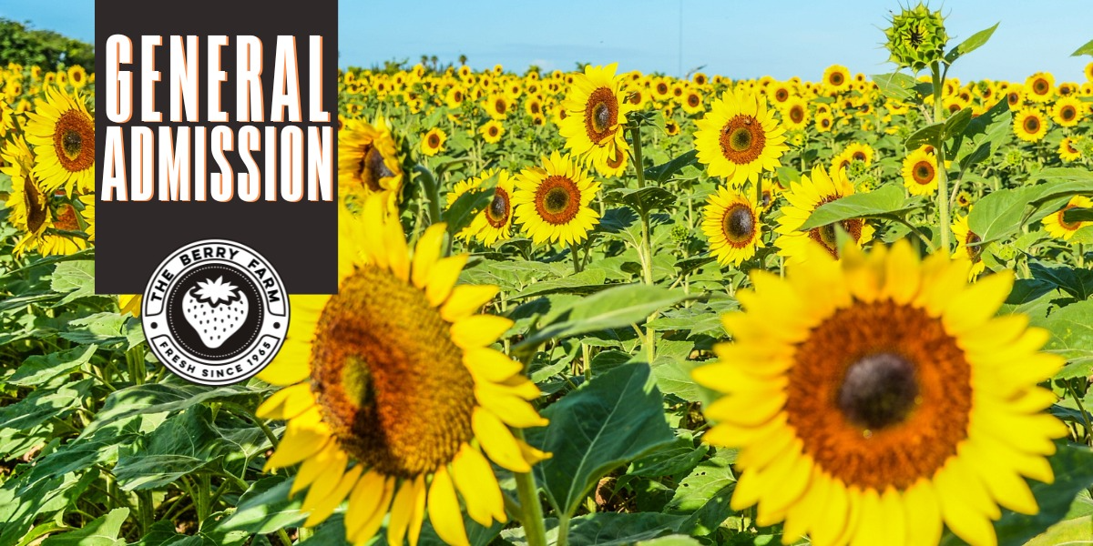 General Admission - The Berry Farm - Miami - Nov 10, 2025 · Showpass