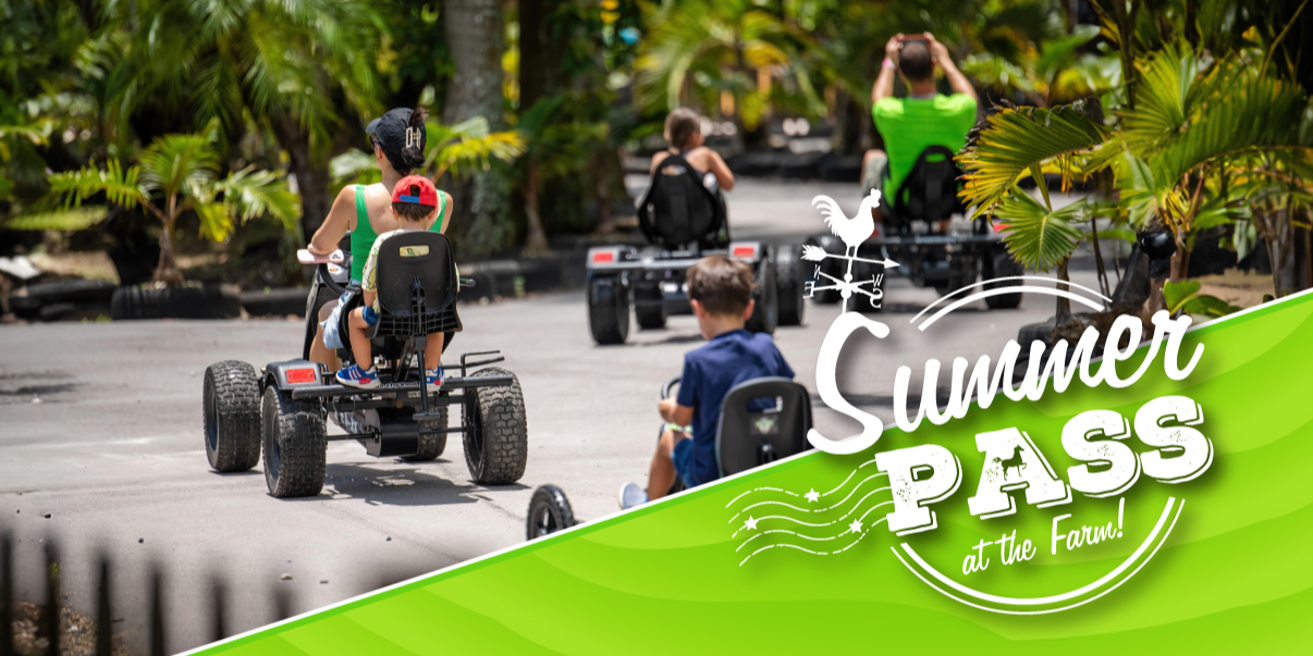 Pinto's Farm - Summer Pass - Pinto's Farm · Showpass