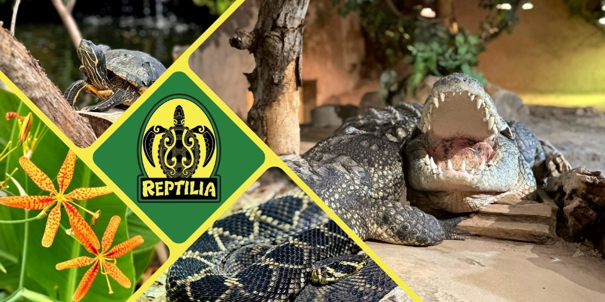 FH Reptilia Zoo and Education Centre | Showpass