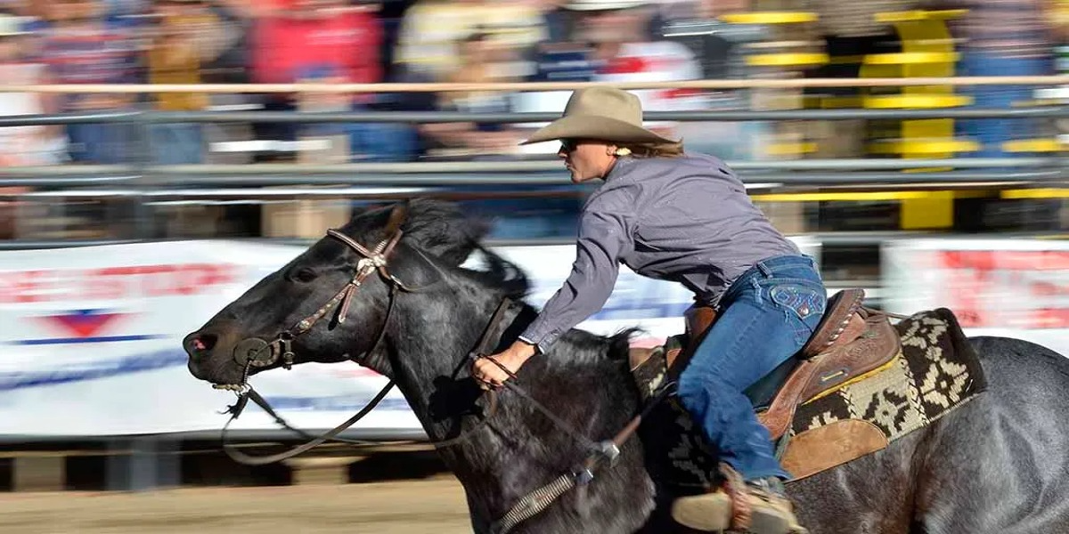 Ramona Rodeo | Showpass