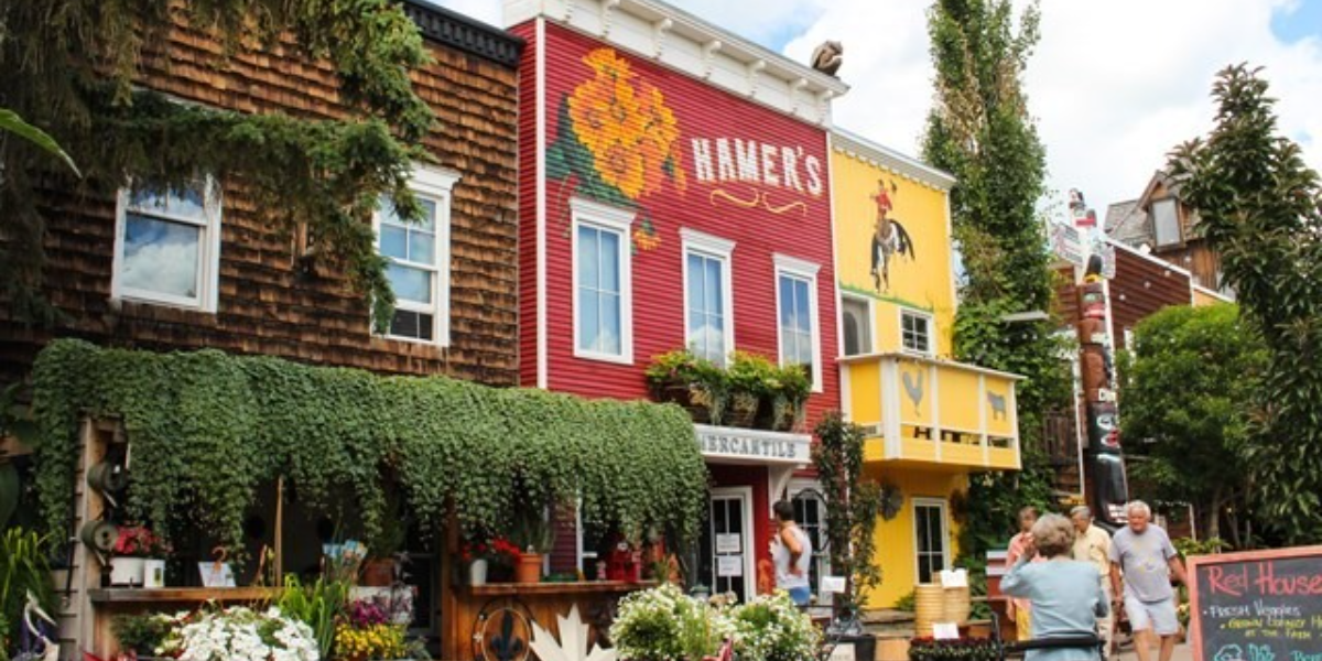 Saskatoon Farm | Showpass