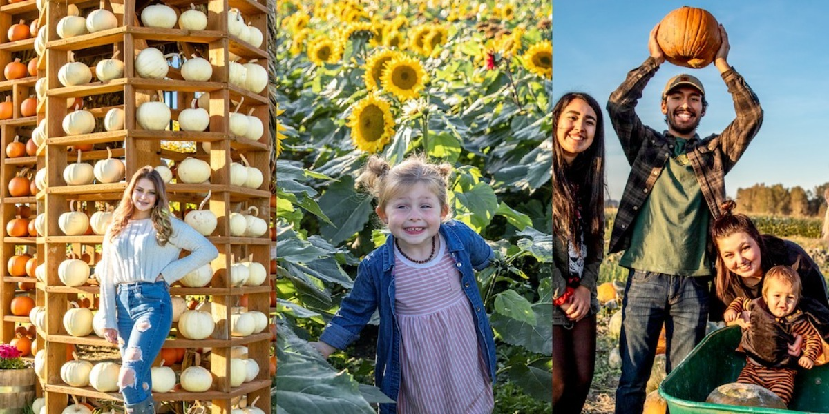 Stocker Farms | Showpass