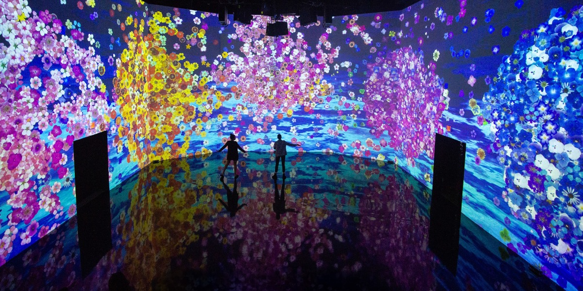 Walkthrough Test Org | Showpass